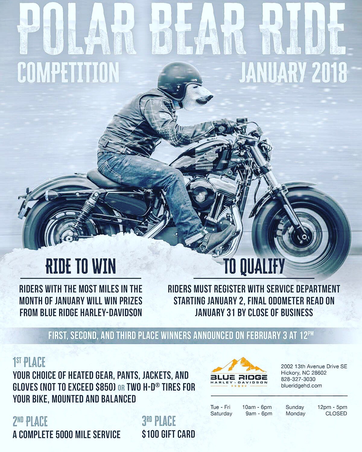 Polar Bear On Motorcycle