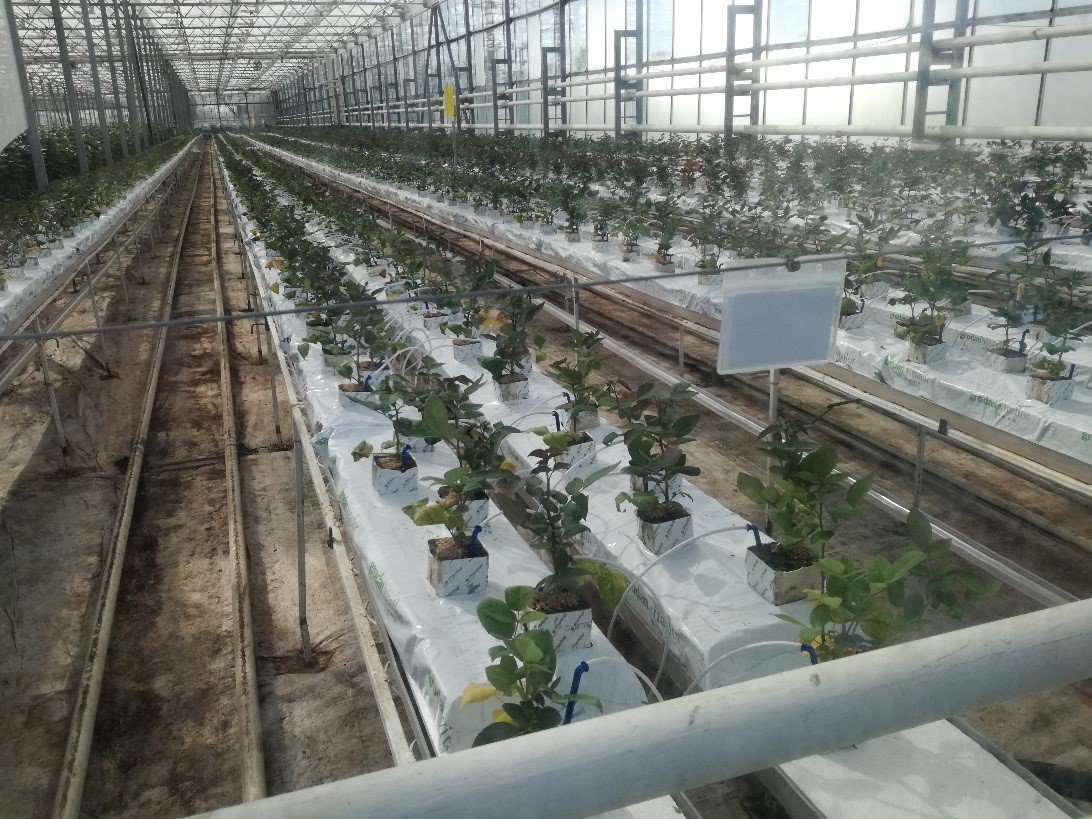Bioenergy Europe on Twitter: "🗓️ #BioenergyDay [DAY 37] : Growing ...