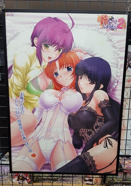 メディオ!秋葉原 on Twitter: "CandySoftさんの「姉、ちゃんとしようよっ！2」ポスターです！…