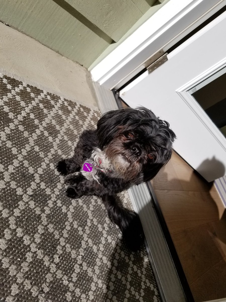 Nick Trujillo (@PremierNick) | Twitter