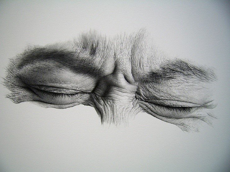 Intense Eyes Drawing