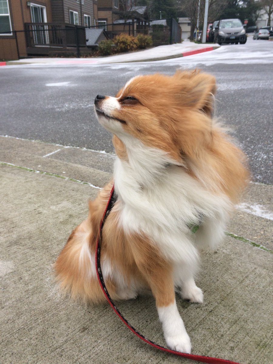 cesar gatica (@lchrno) | Twitter