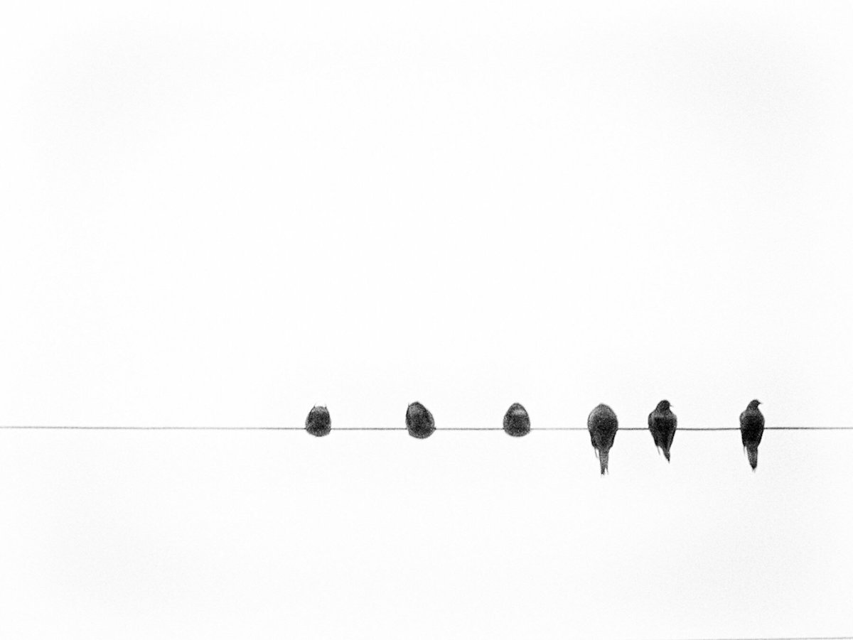 Gregory Tapler (@GregoryTapler) | Twitter