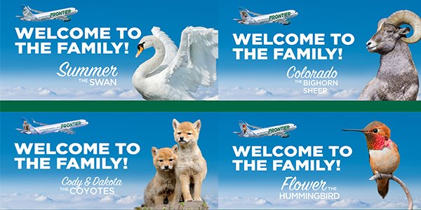 Frontier Airlines Animals