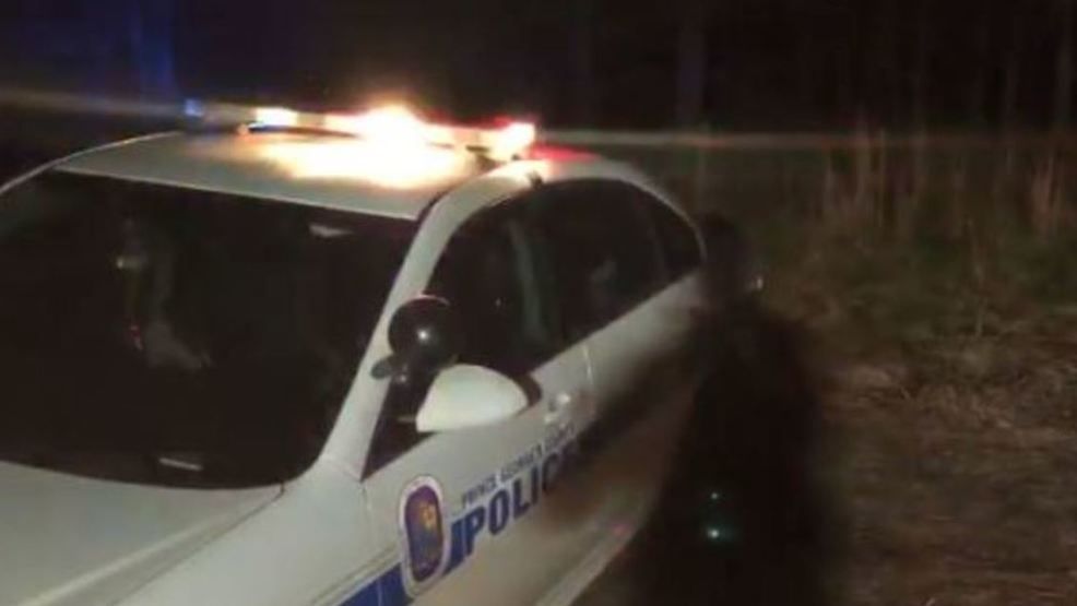 Katrin Haldeman (@IdeaFaqtory) | Twitter