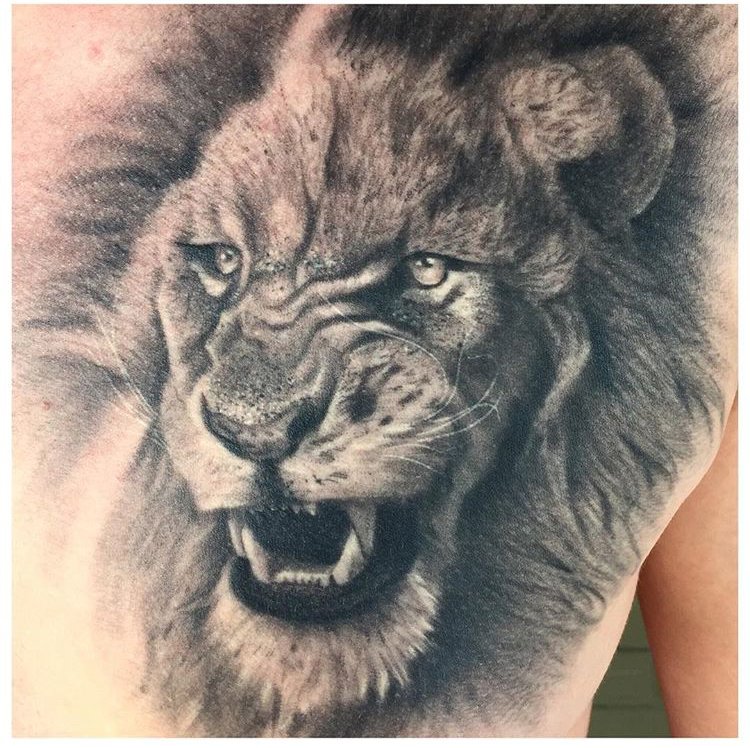 Lion Growling Tattoo