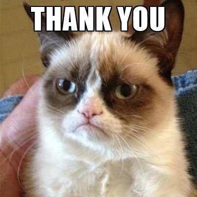 Grumpy Cat Thank You Meme