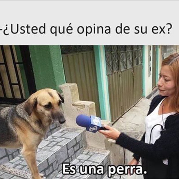 Imágenes Divertidas On Twitter Imagenes Divertidas Gay T