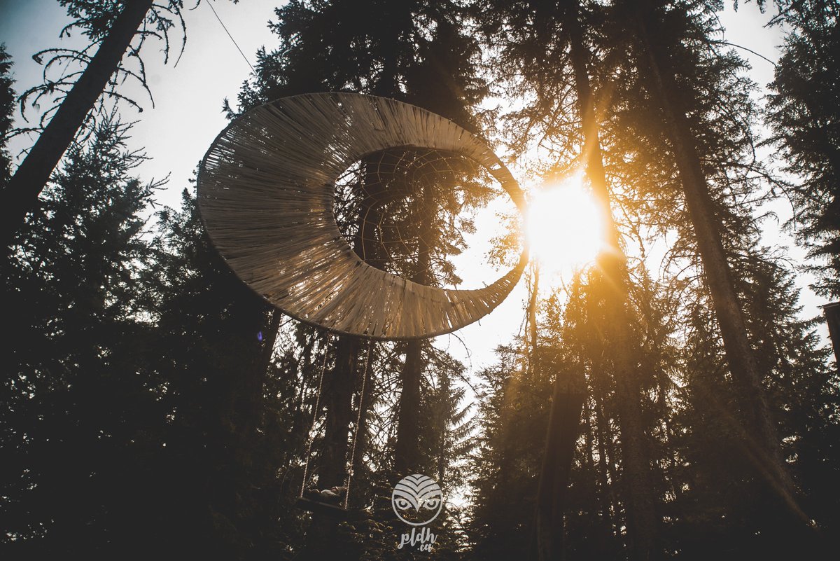 Shambhala Music Festival – Annual Electronic Music Festival in Salmo, BC