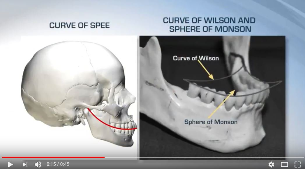 Curve Of Spee And Wilson Outlet | emergencydentistry.com