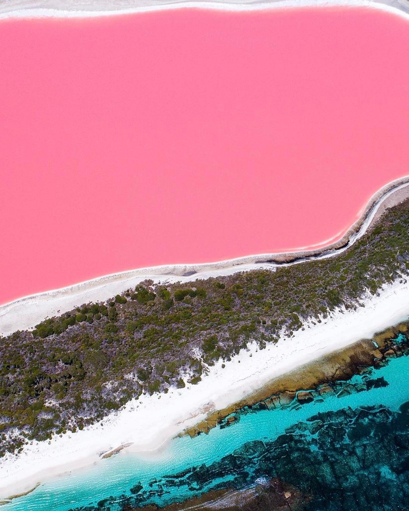 The spectacular pink colour of Western Australia's Lake Hillier ...