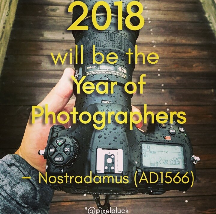 PixelPluck (@pixelpluck) | Twitter