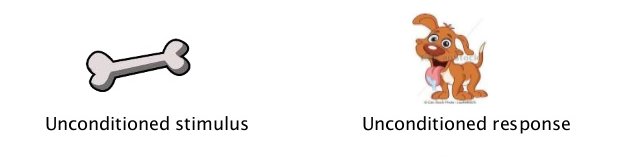😀 Unconditioned response. Unconditioned legal definition of ... 😀 Unconditioned response. Unconditioned legal definition of ...