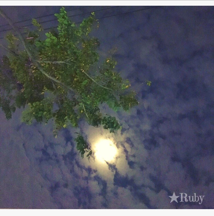 TABTIM (@TsTabtim) | Twitter