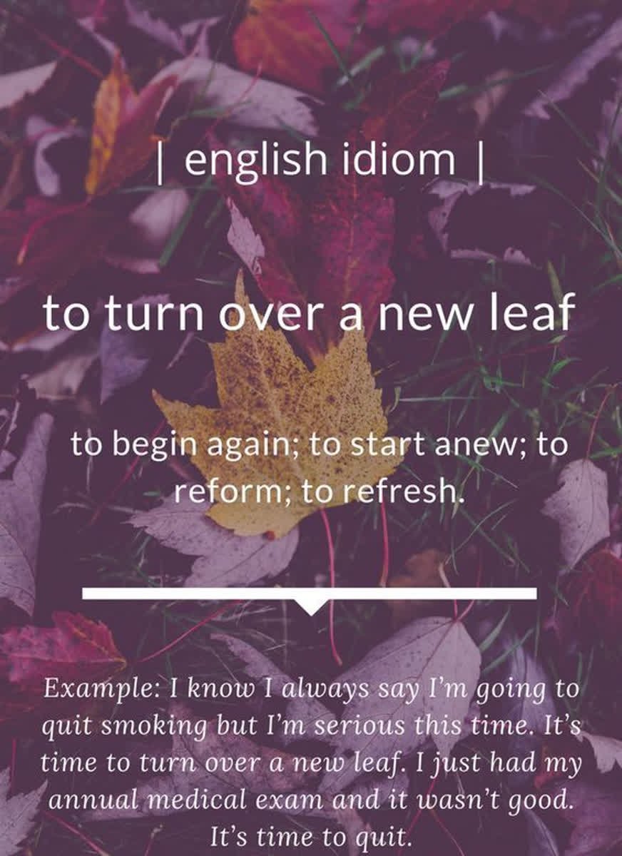 Turning Leaf Refresh