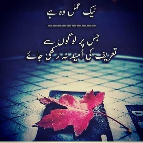 TinTernTechnologies (@TinTernTech) | Twitter