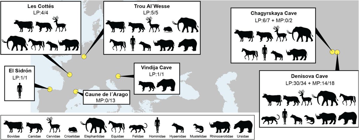 PaleoPlaneta (@PaleoPlaneta) | Twitter