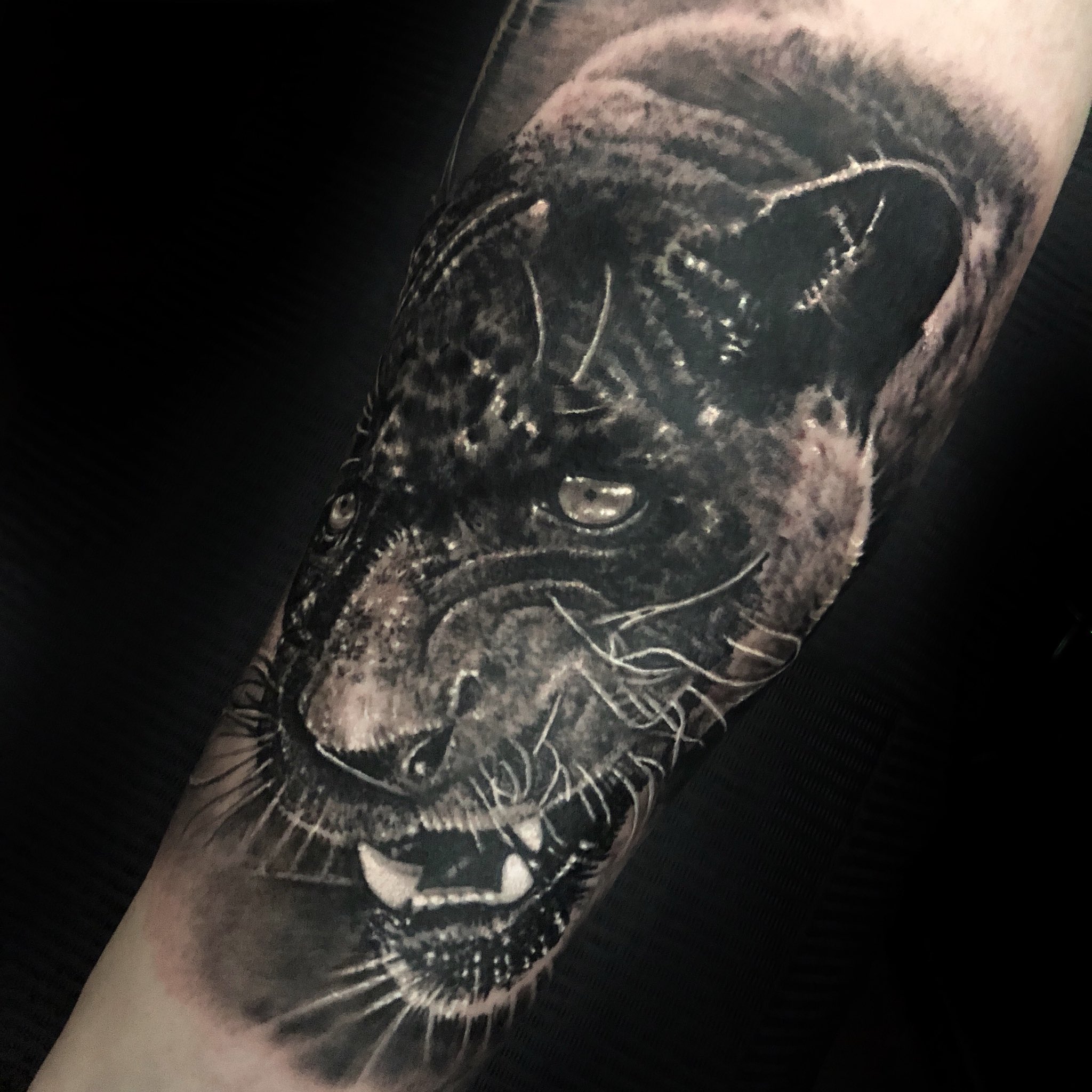 Forearm Panther Tattoos Forearm Black Panther Tattoo Printable