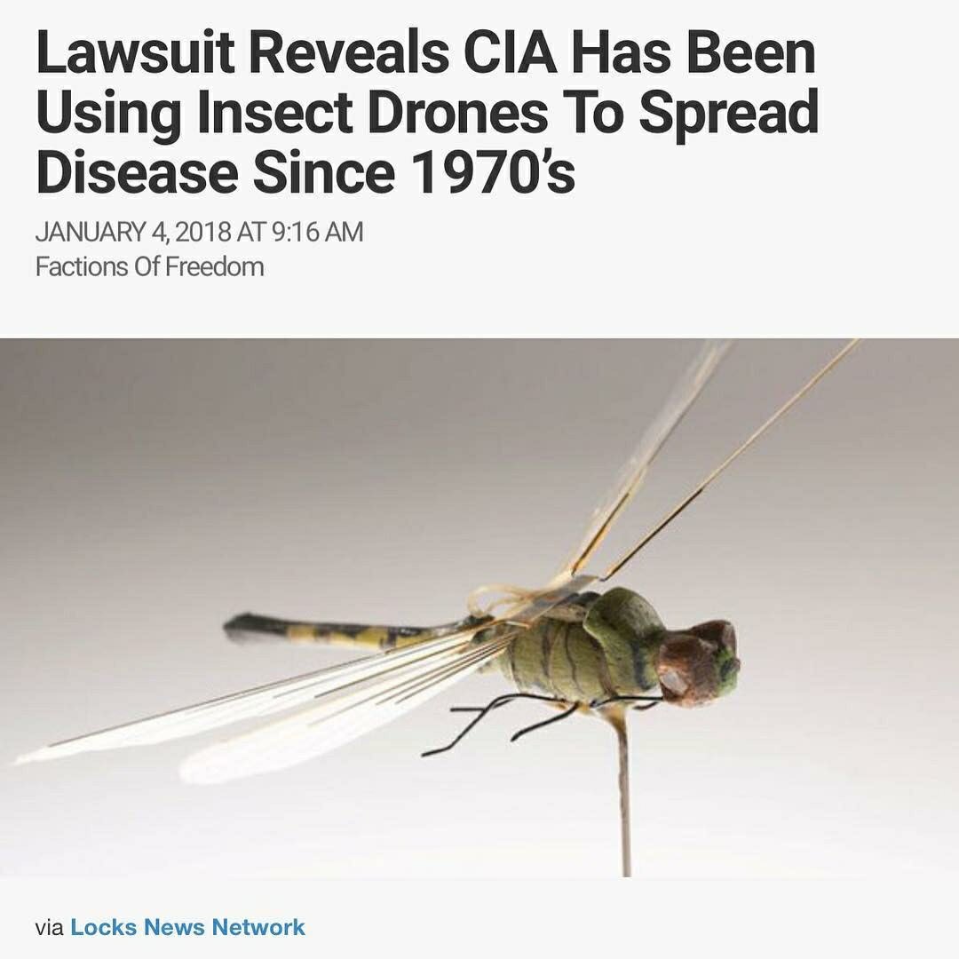 Meet The CIA's Insectothopter IEEE Spectrum, 46% OFF