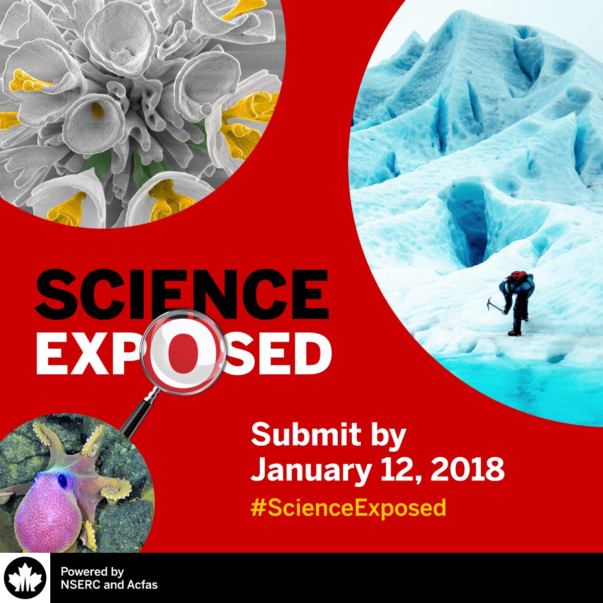 UWindsor Engineering (@UWindsorENG) | Twitter