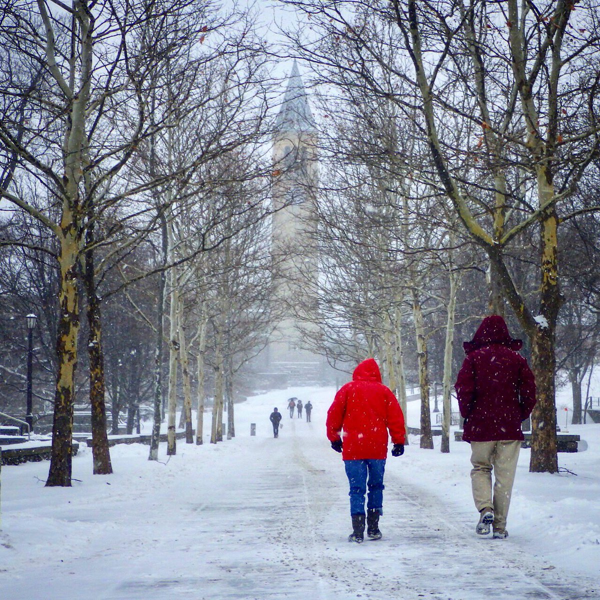 Cornell Campus Winter