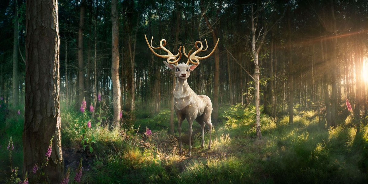 Fantasy Forest Creatures