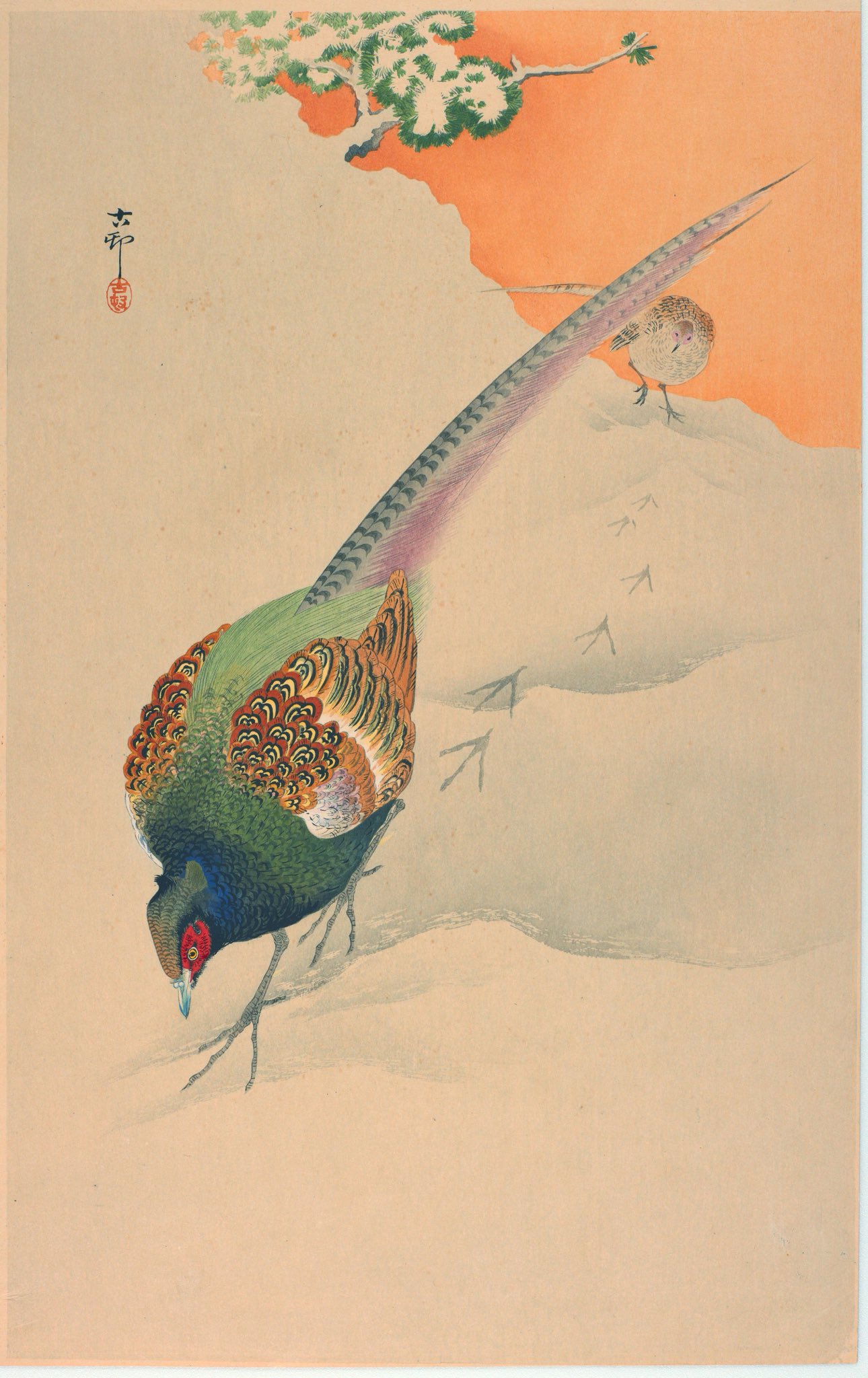 Japanese National Bird