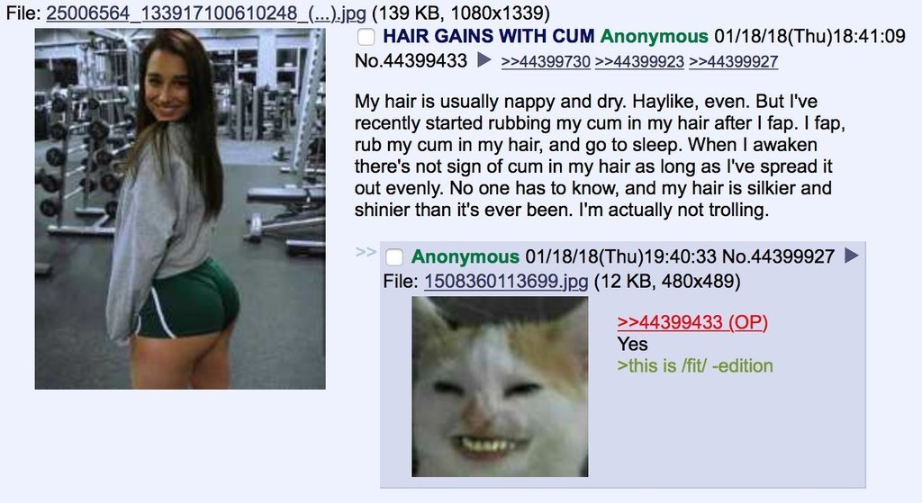 4chan greentext on Twitter: "/fit/izen on hair gain https://t.co/UiA1V3dQp2 - read more 4chan ...