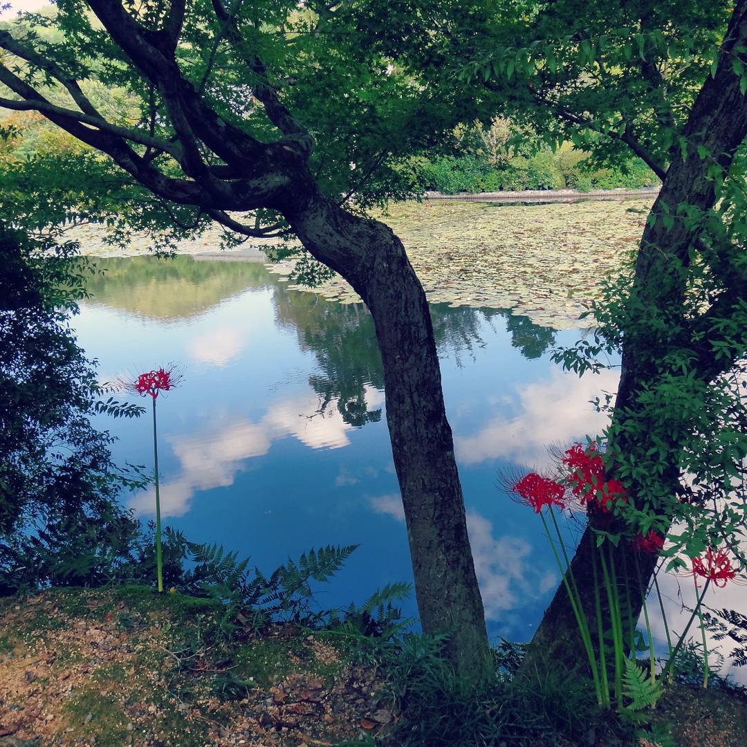 Kuiya (@Kuiya_918_lb) | Twitter