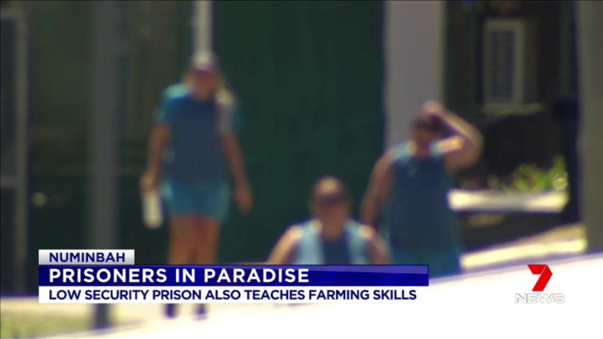 Numinbah Correctional Centre Latest News Breaking News Headlines