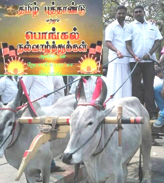 sadiq batcha (@sadiq4424) | Twitter