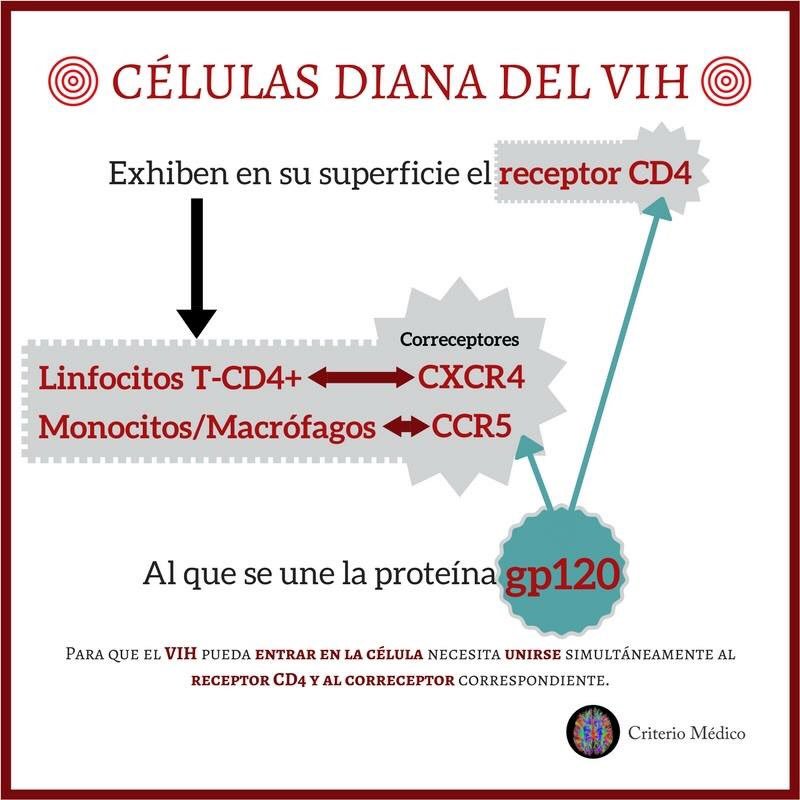 Célula Diana