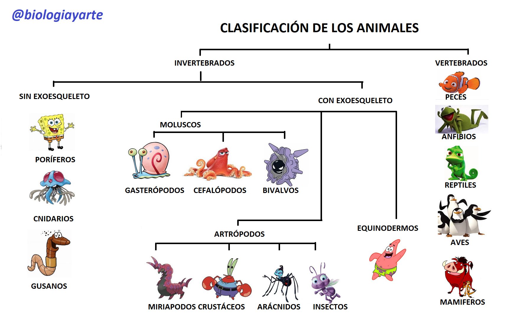 Mapa Conceptual Del Reino Animalia | Porn Sex Picture Mapa Conceptual Del Reino Animalia | Porn Sex Picture
