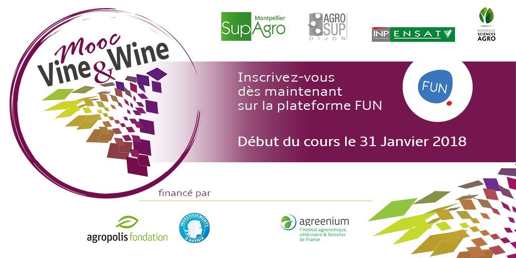 Coquelicot (@laure_haon) | Twitter