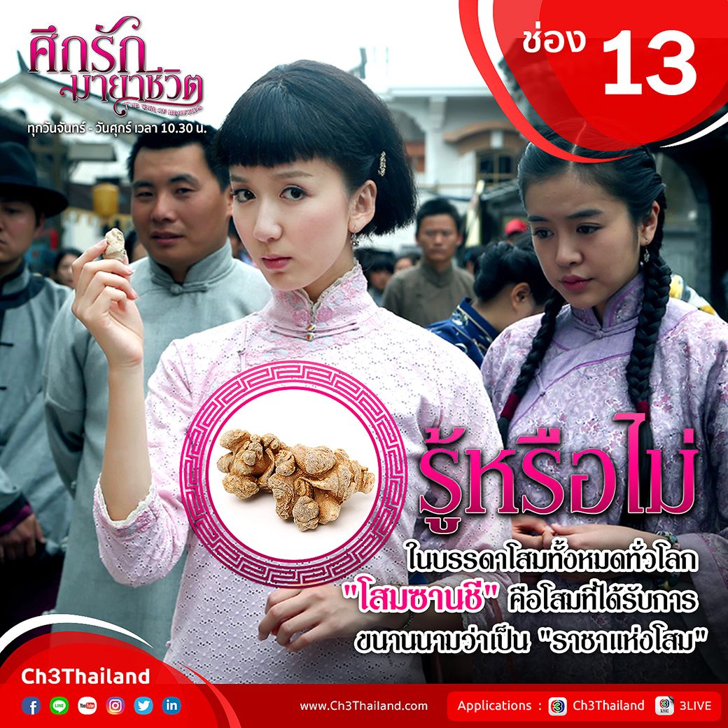 Ch3Thailand on Twitter: "รู้จักกับ“โสมซานชี”ราชาแห่งโสม https://t.co/e10zQaH0XB #ศึกรักมายาชีวิต ...
