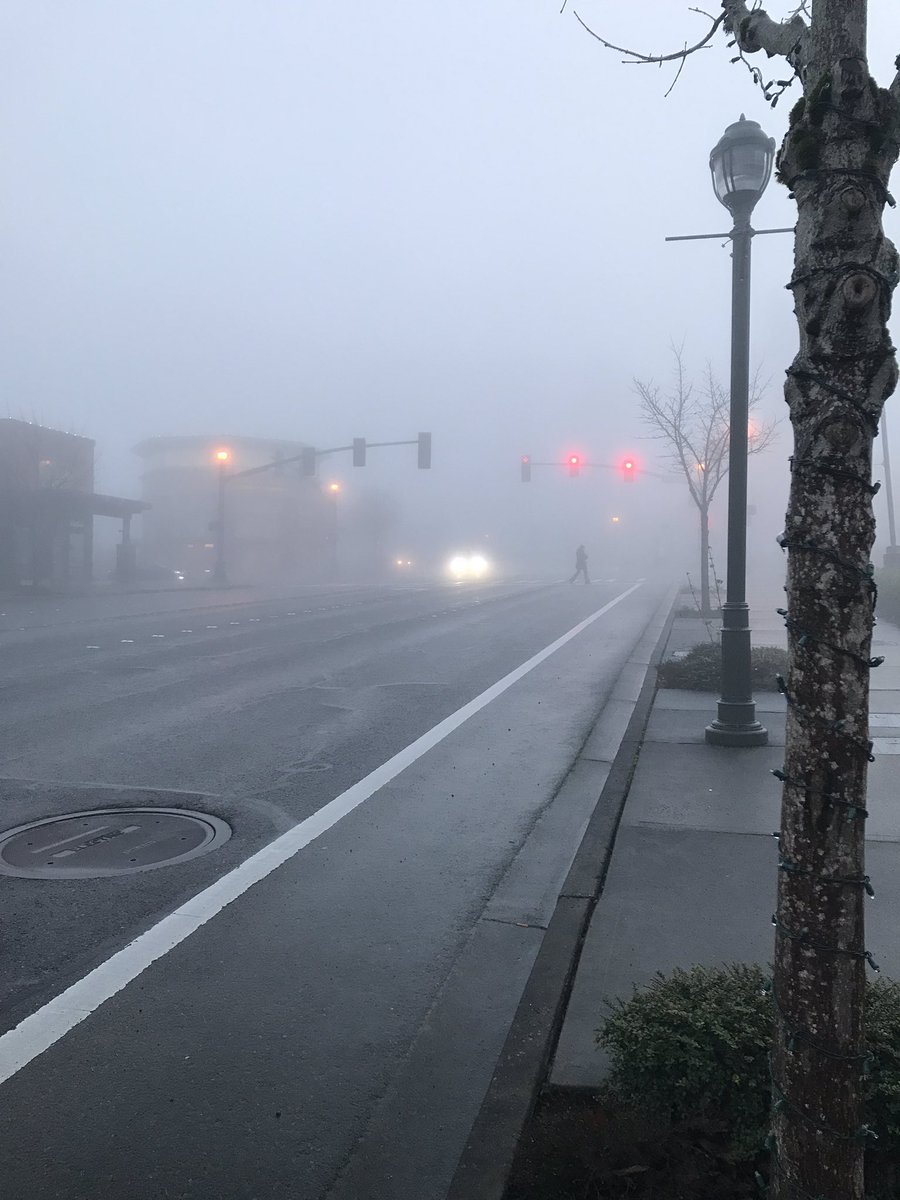 Morning Mist In The City