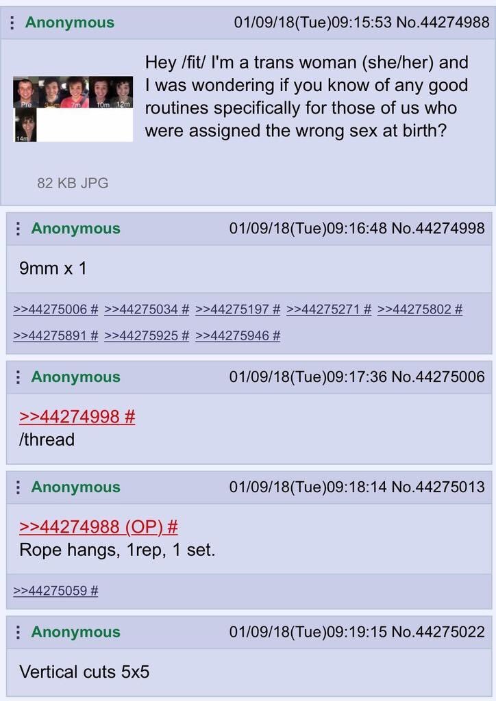 4chan greentext on Twitter: "Anon has questions on workout routines https://t.co/uRrqOqaG9C ...