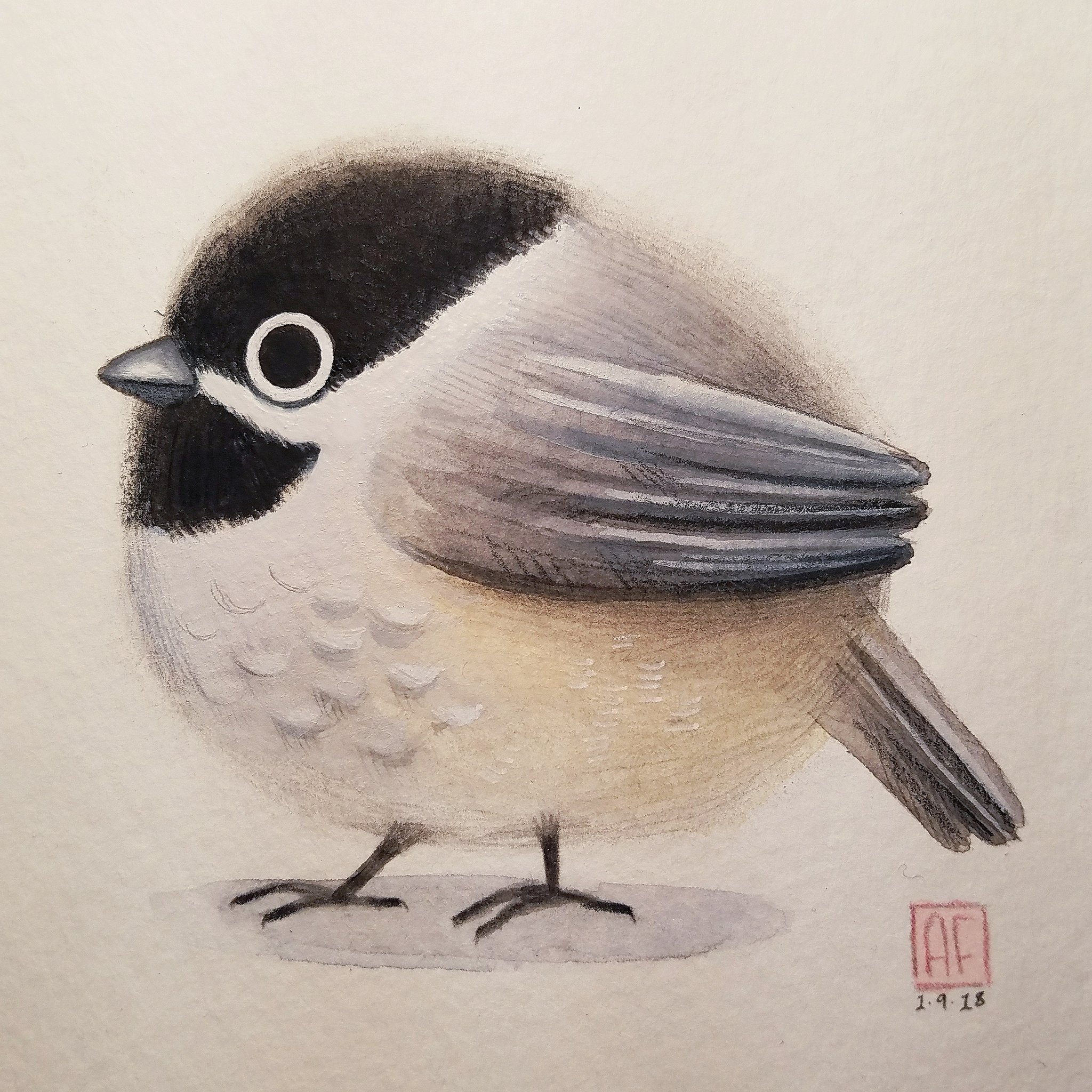 Chickadee Drawing