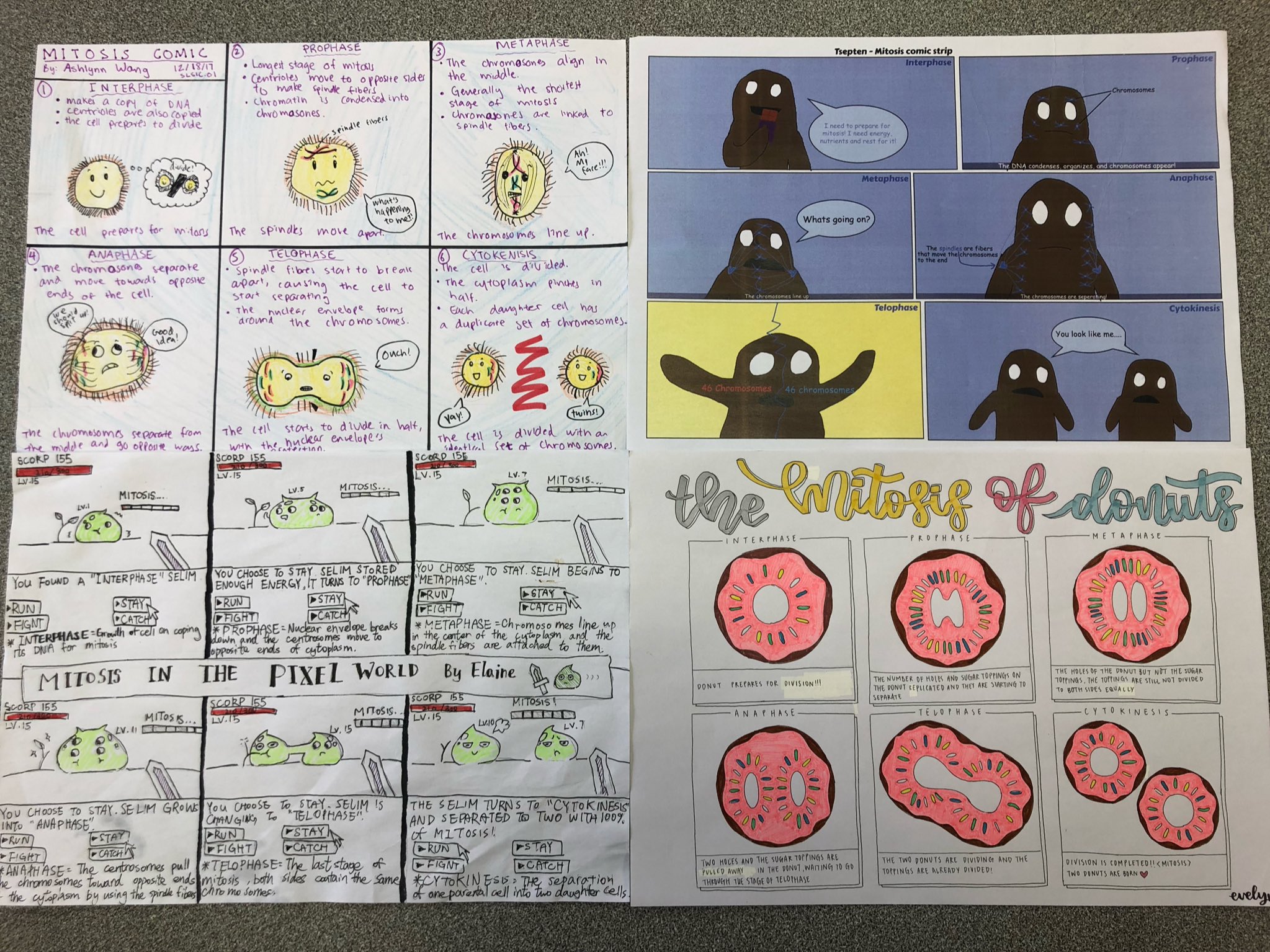 Meiosis Comic Strip