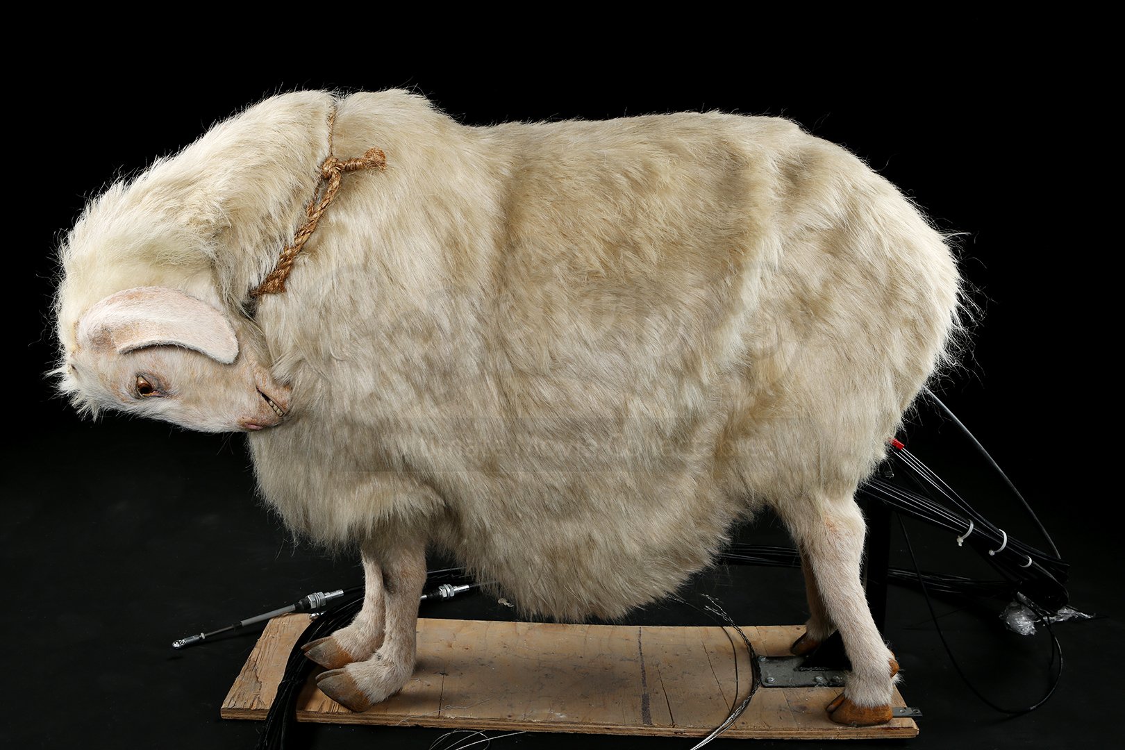 Drag Me To Hell Goat