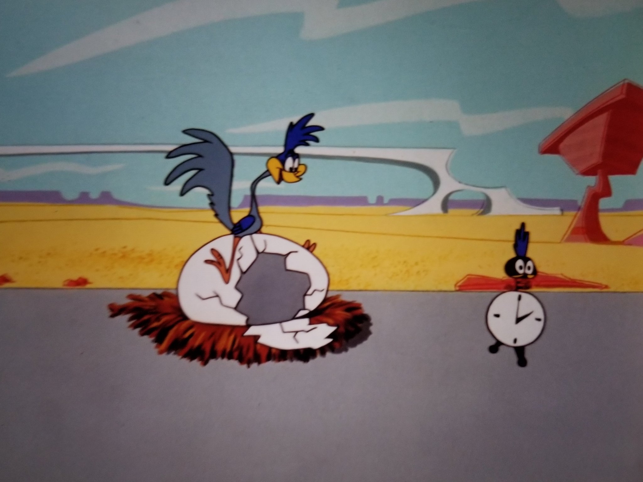 Baby Roadrunner Cartoon