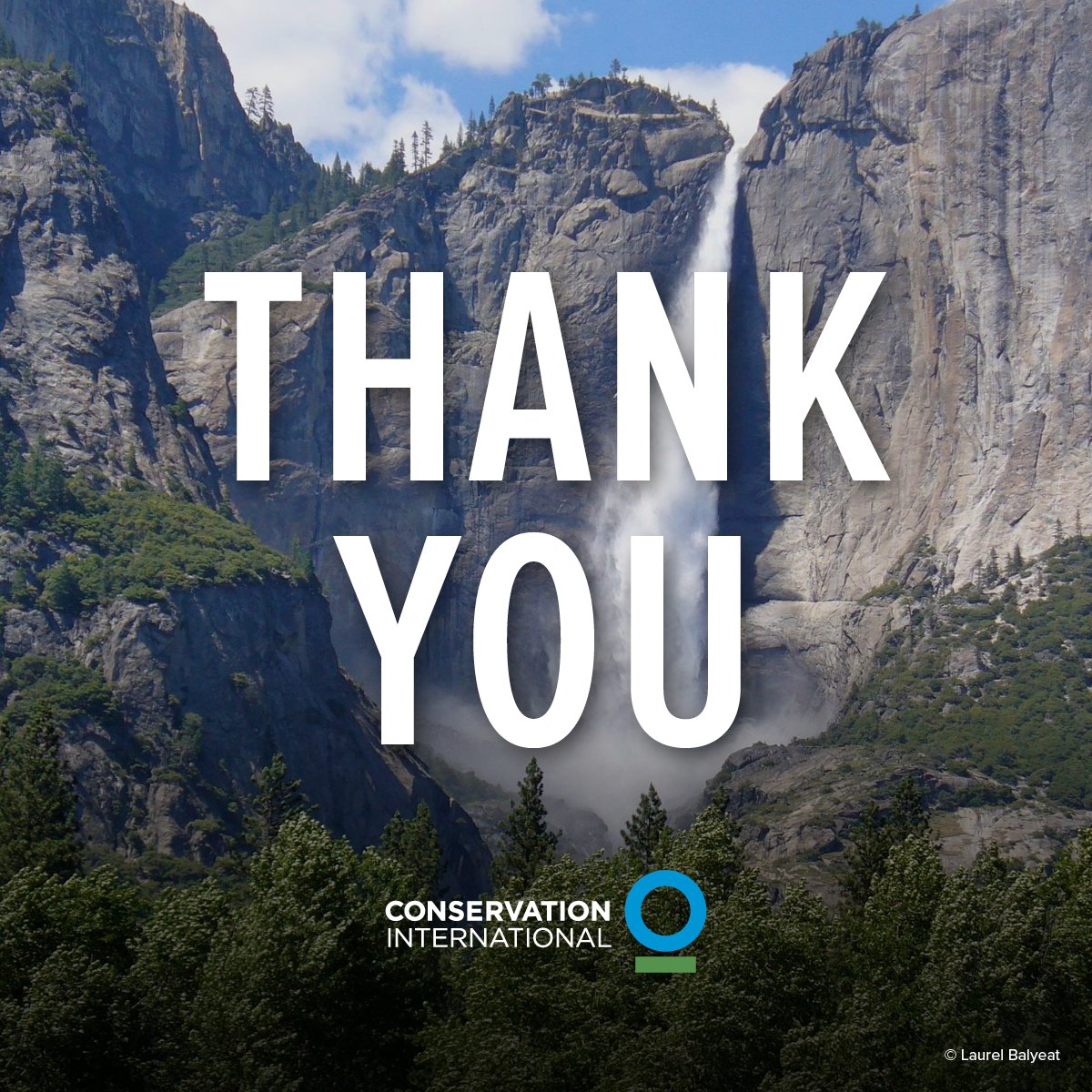 Thank You Images With Nature