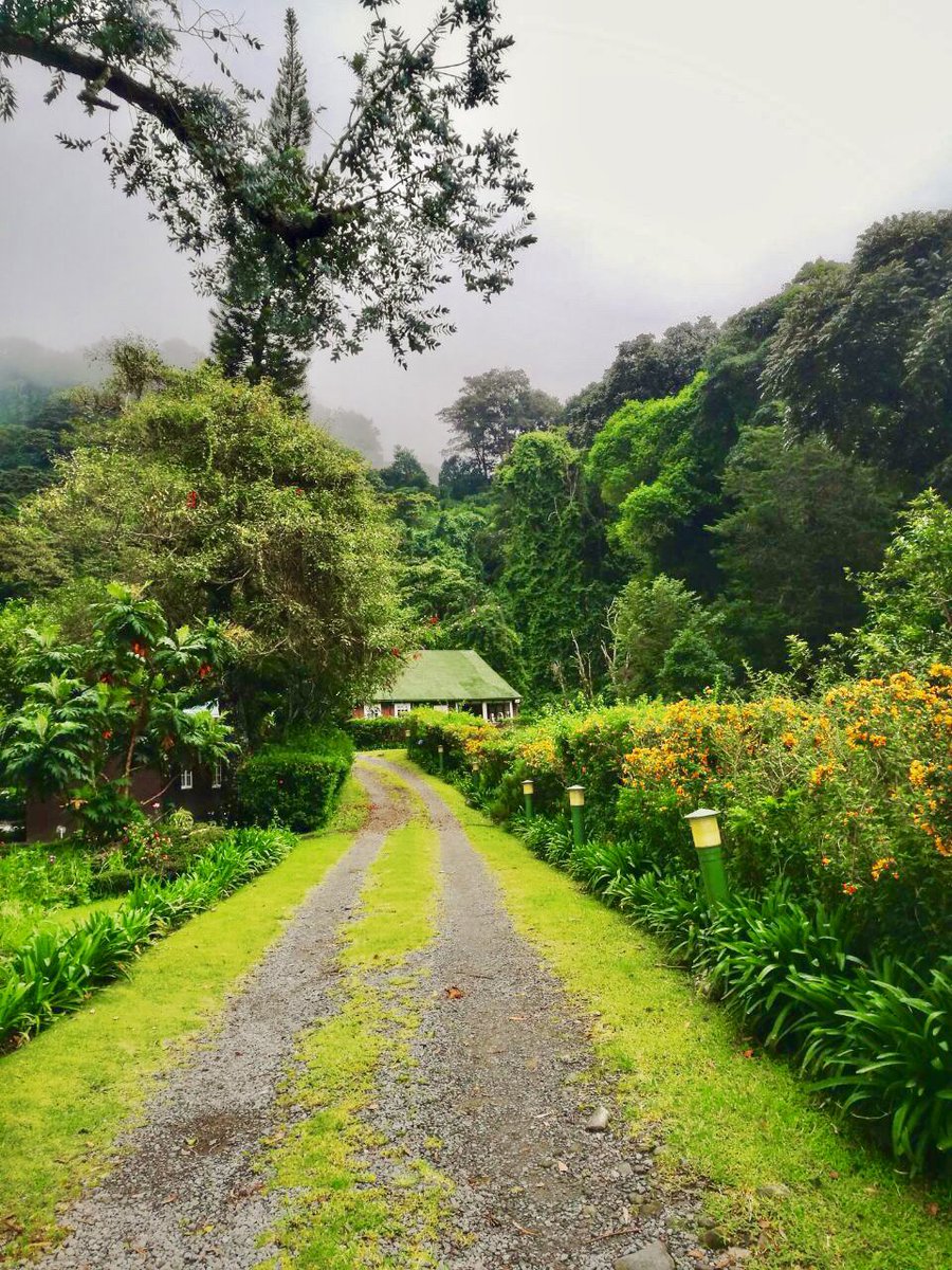 Panamá: Boquete es buen clima, hermosos paisajes y excelente café