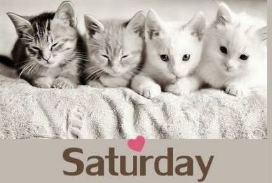 Happy Saturday Animals