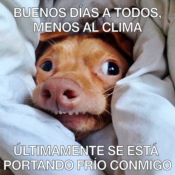 Esta Bien Frio Memes Con Este Frio Memes | TikTok