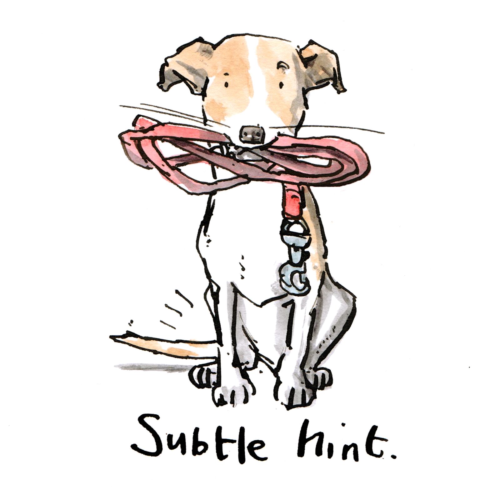 Subtle Hint