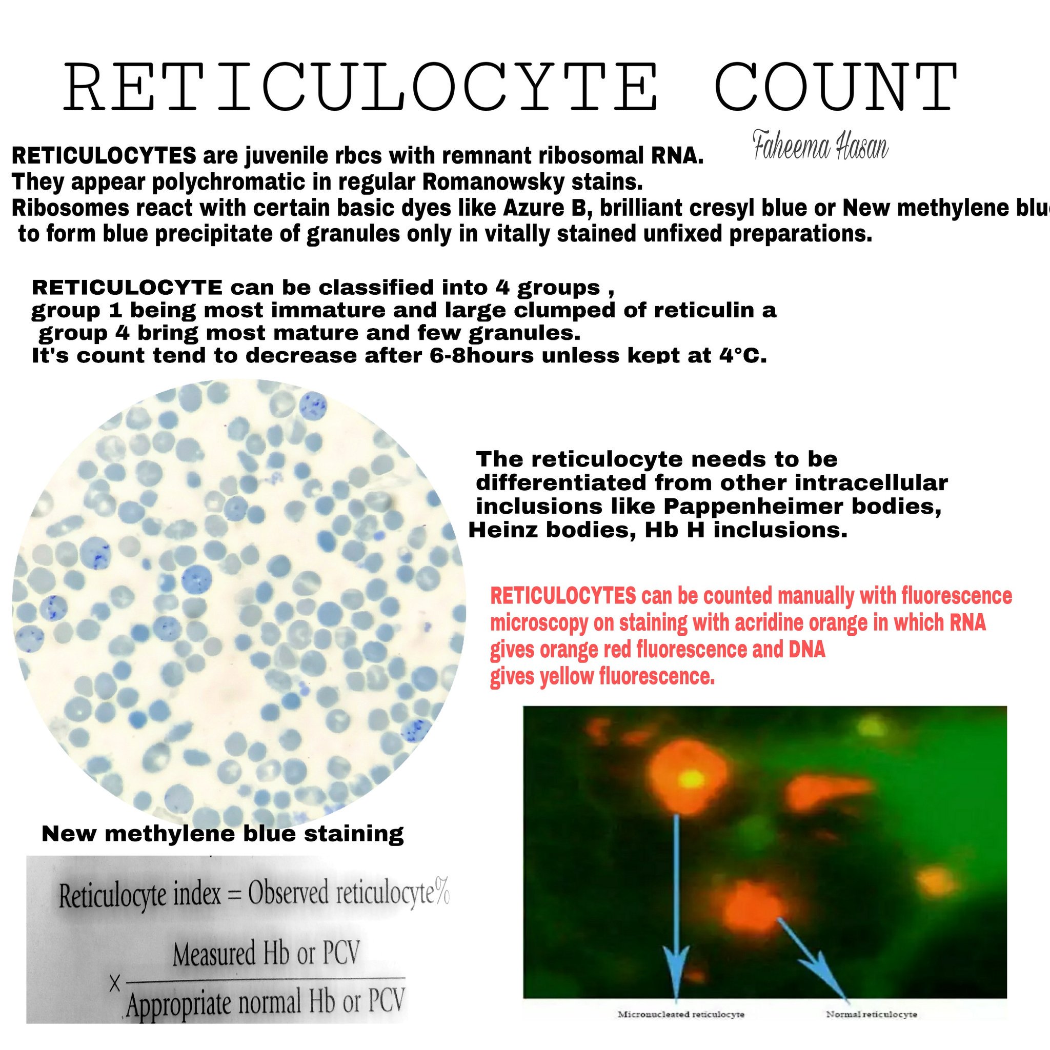 Reticulocyte Vs Heinz Body