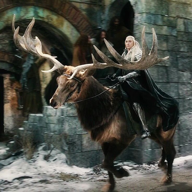 Riding An Elk