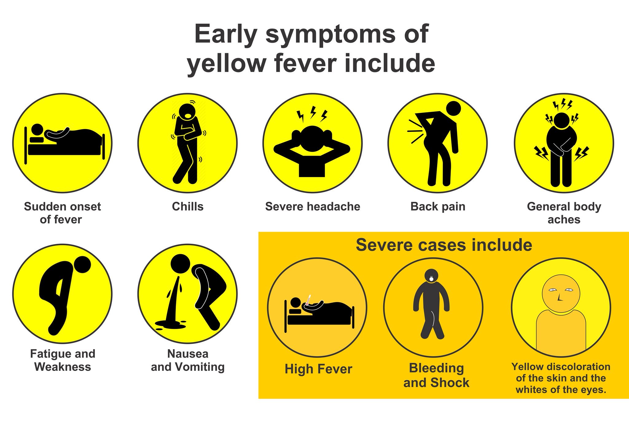 Yellow Fever Bleeding