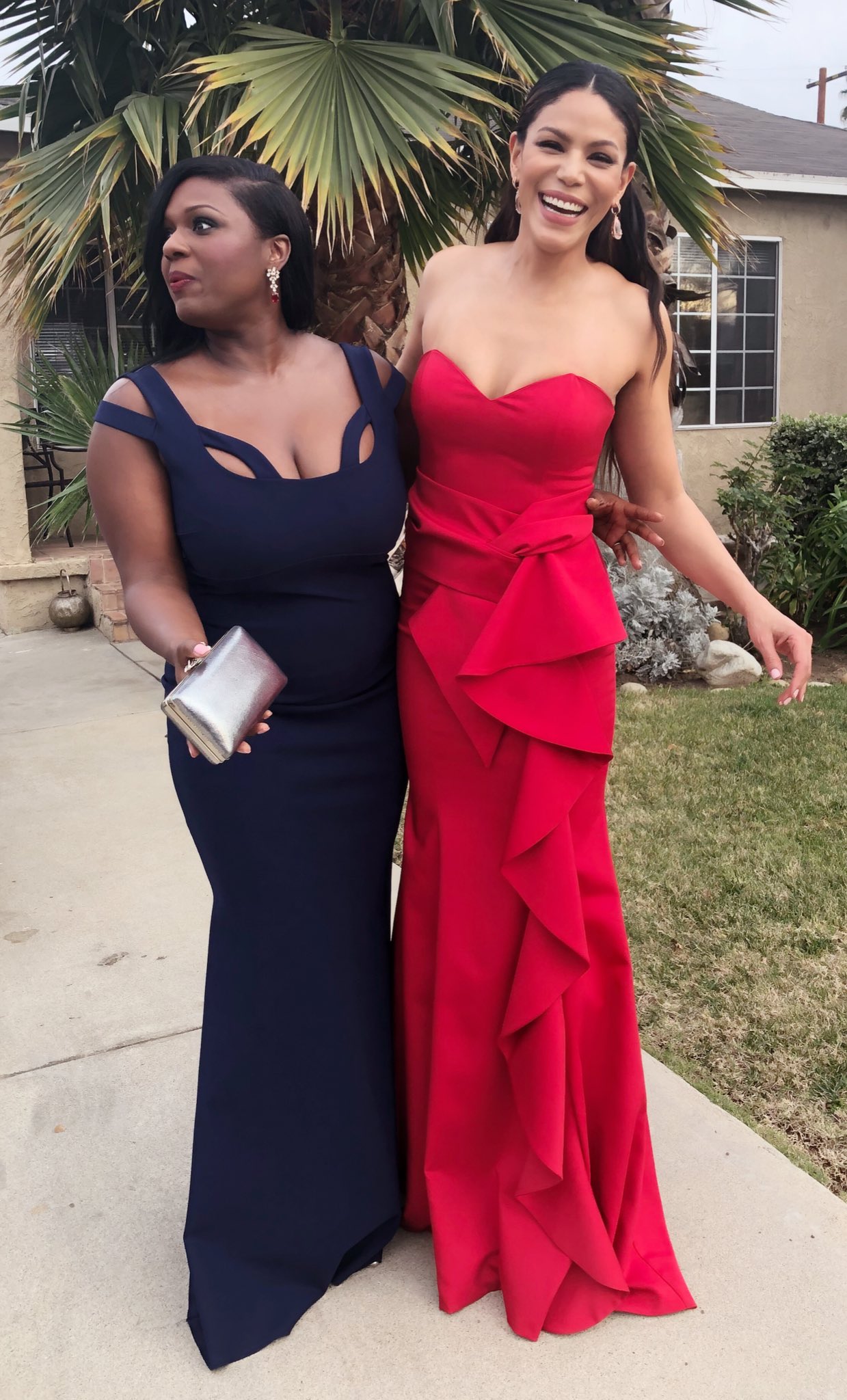 Merle Dandridge Wedding